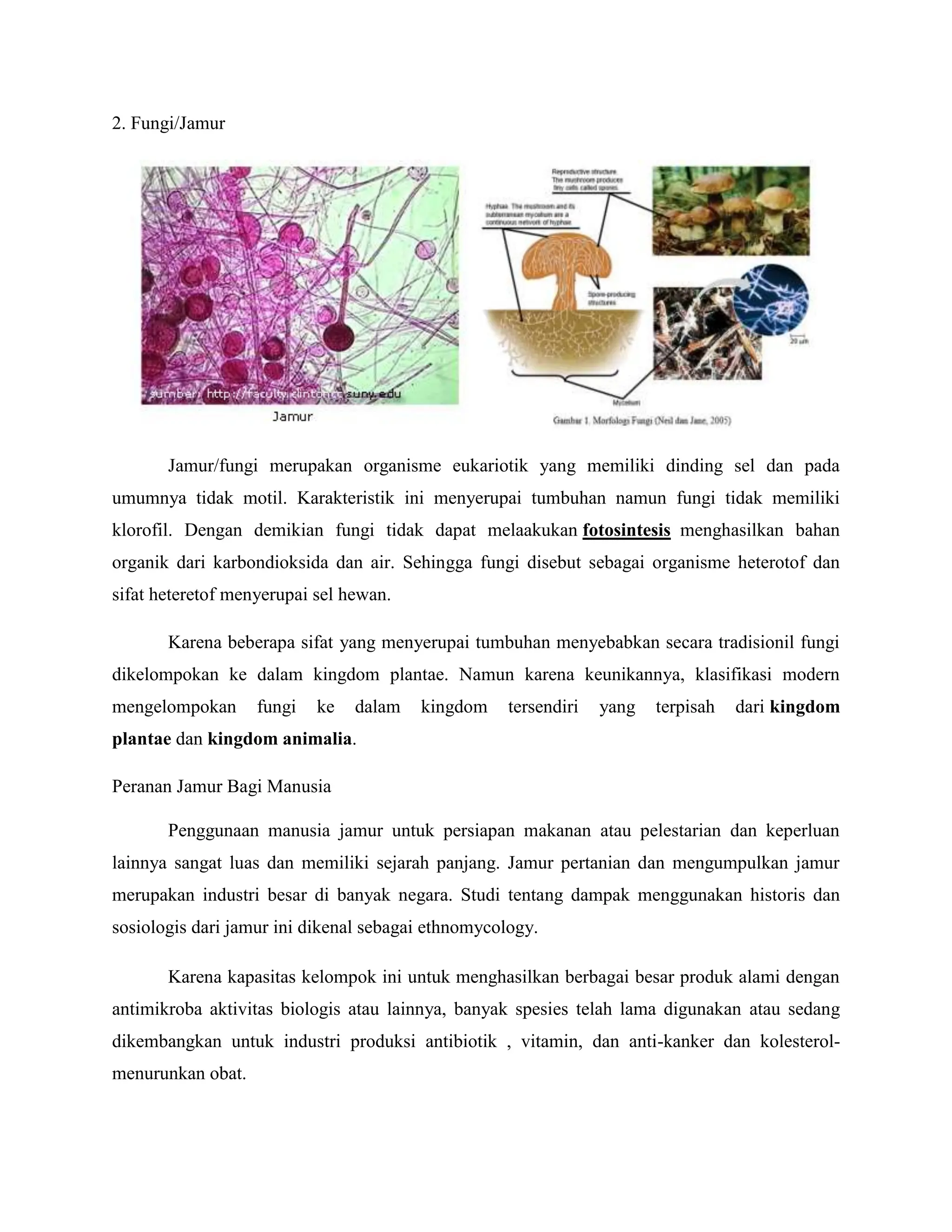 klpk_4_mikrobiologi_industri-klpk_4_mikrobiologi_industri.docx