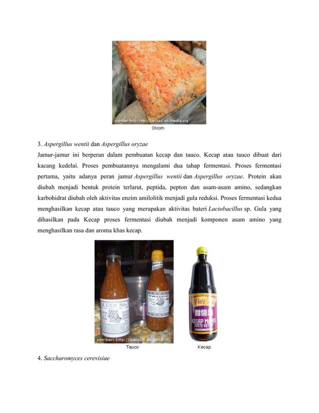 klpk_4_mikrobiologi_industri-klpk_4_mikrobiologi_industri.docx