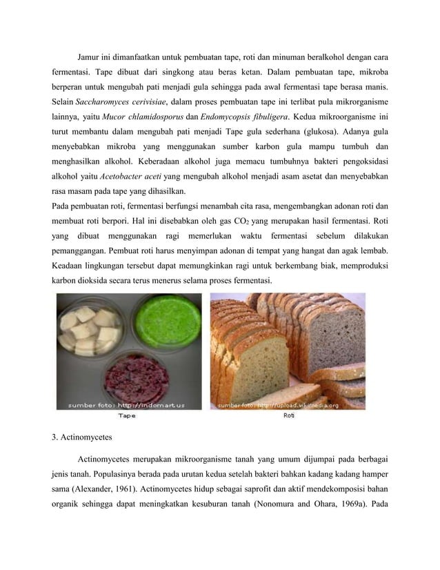 klpk_4_mikrobiologi_industri-klpk_4_mikrobiologi_industri.docx