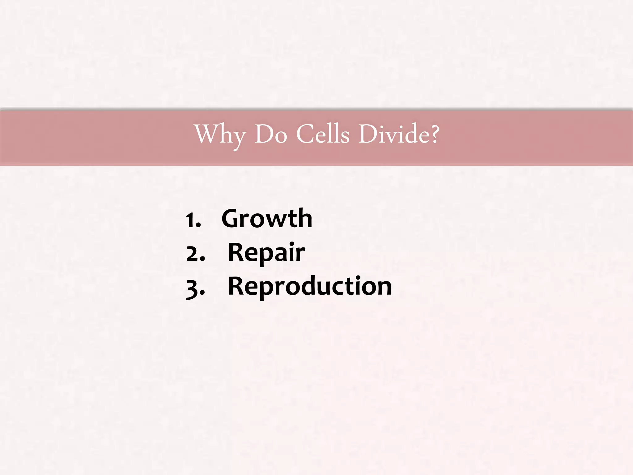 Cell Division: MITOSIS | PPT