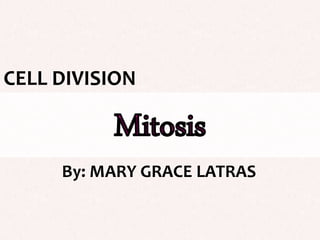 Cell Division: MITOSIS | PPT