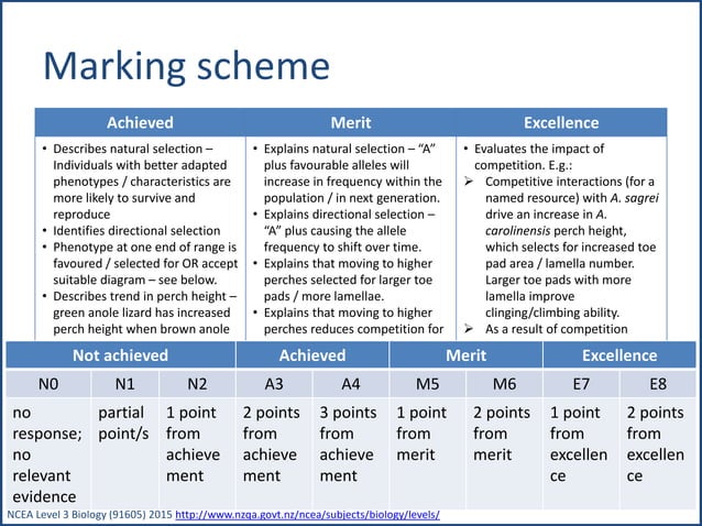 2 Grading criteria and marking schemes Liz Norman ANZCVS 2018 | PPT