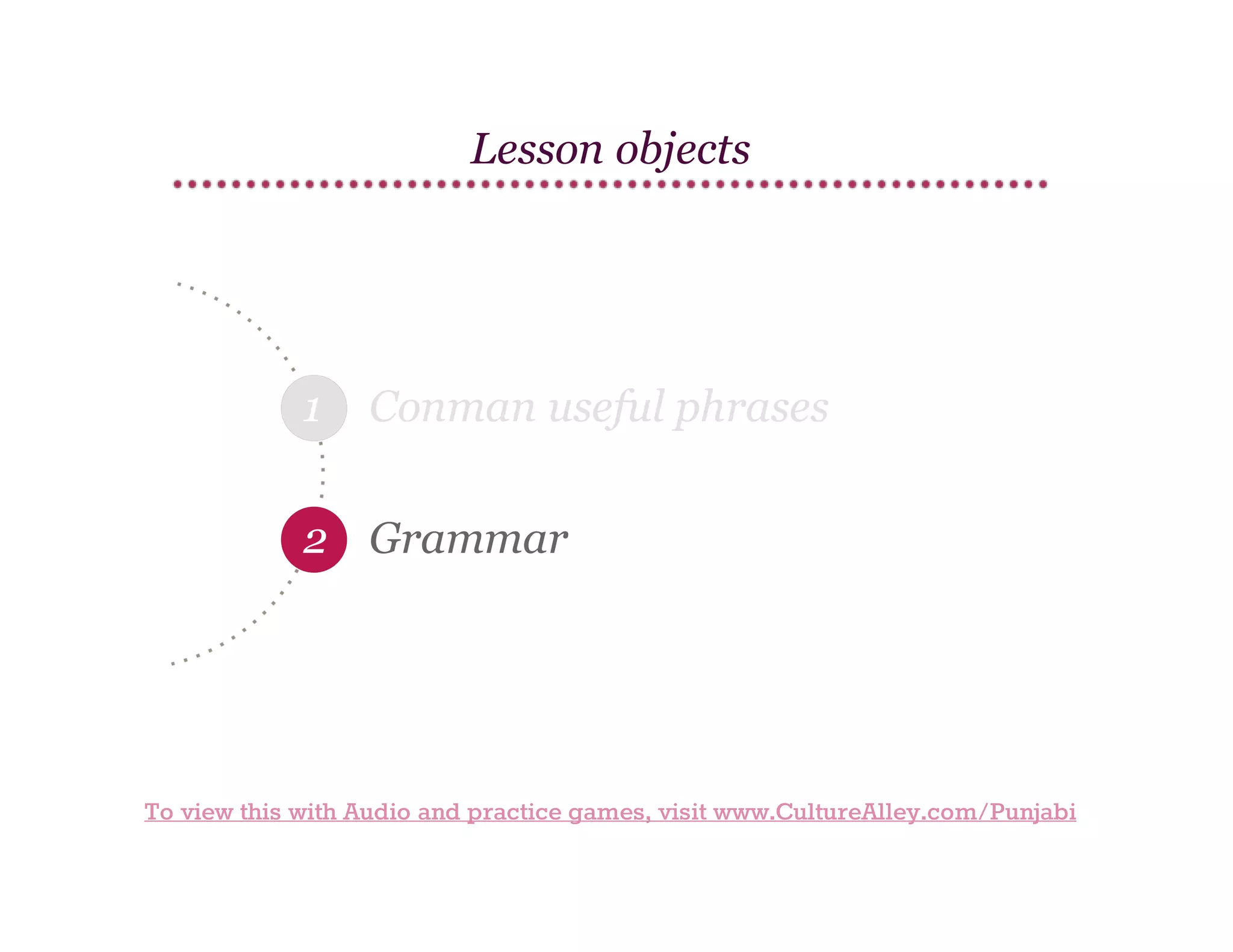 Basic Punjabi | Lesson 2 | Common useful phrases & Grammar | PDF