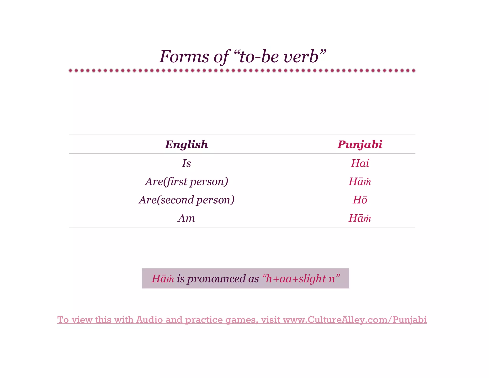 Basic Punjabi | Lesson 2 | Common useful phrases & Grammar | PDF