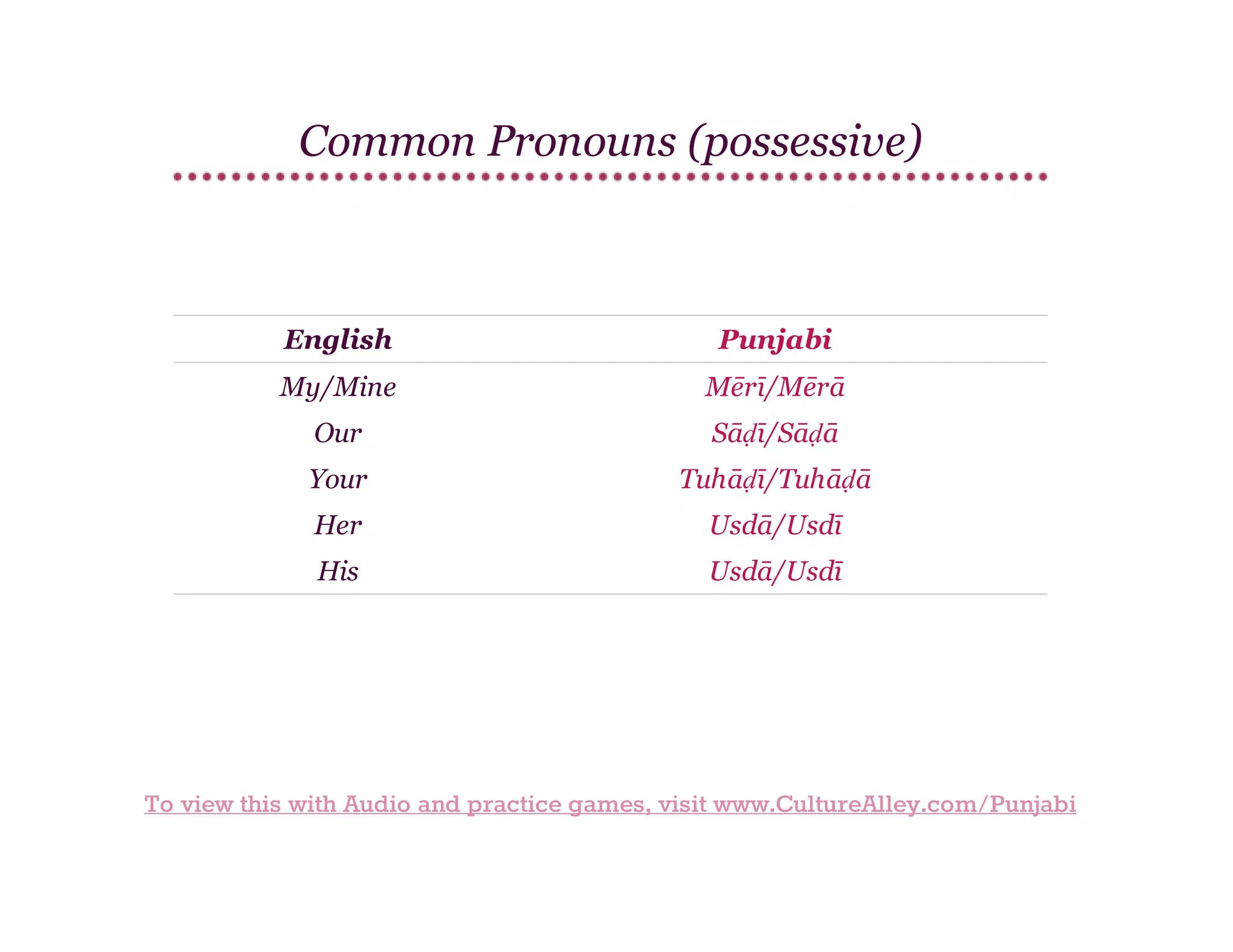 Basic Punjabi | Lesson 2 | Common useful phrases & Grammar | PDF