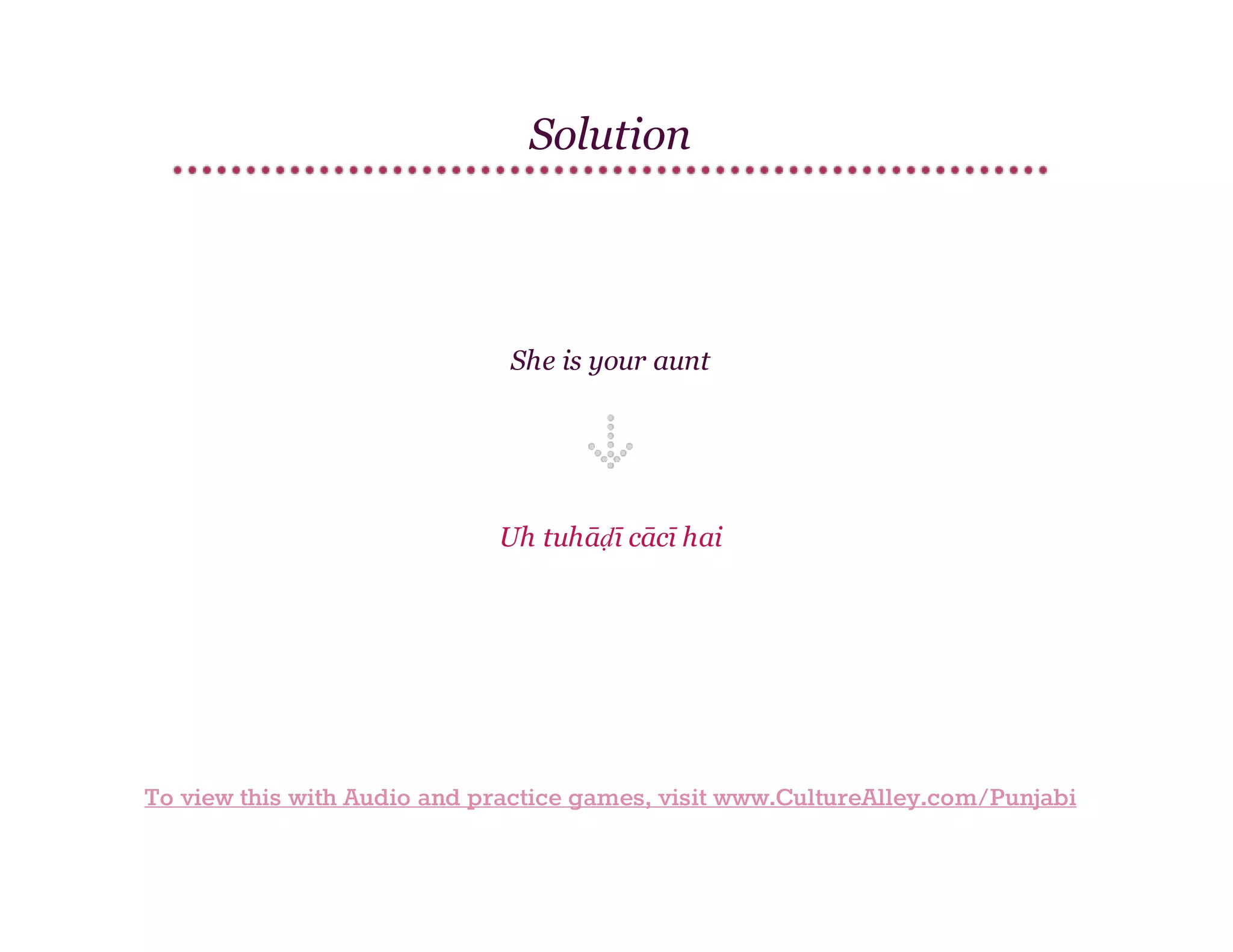 Basic Punjabi | Lesson 2 | Common useful phrases & Grammar | PDF