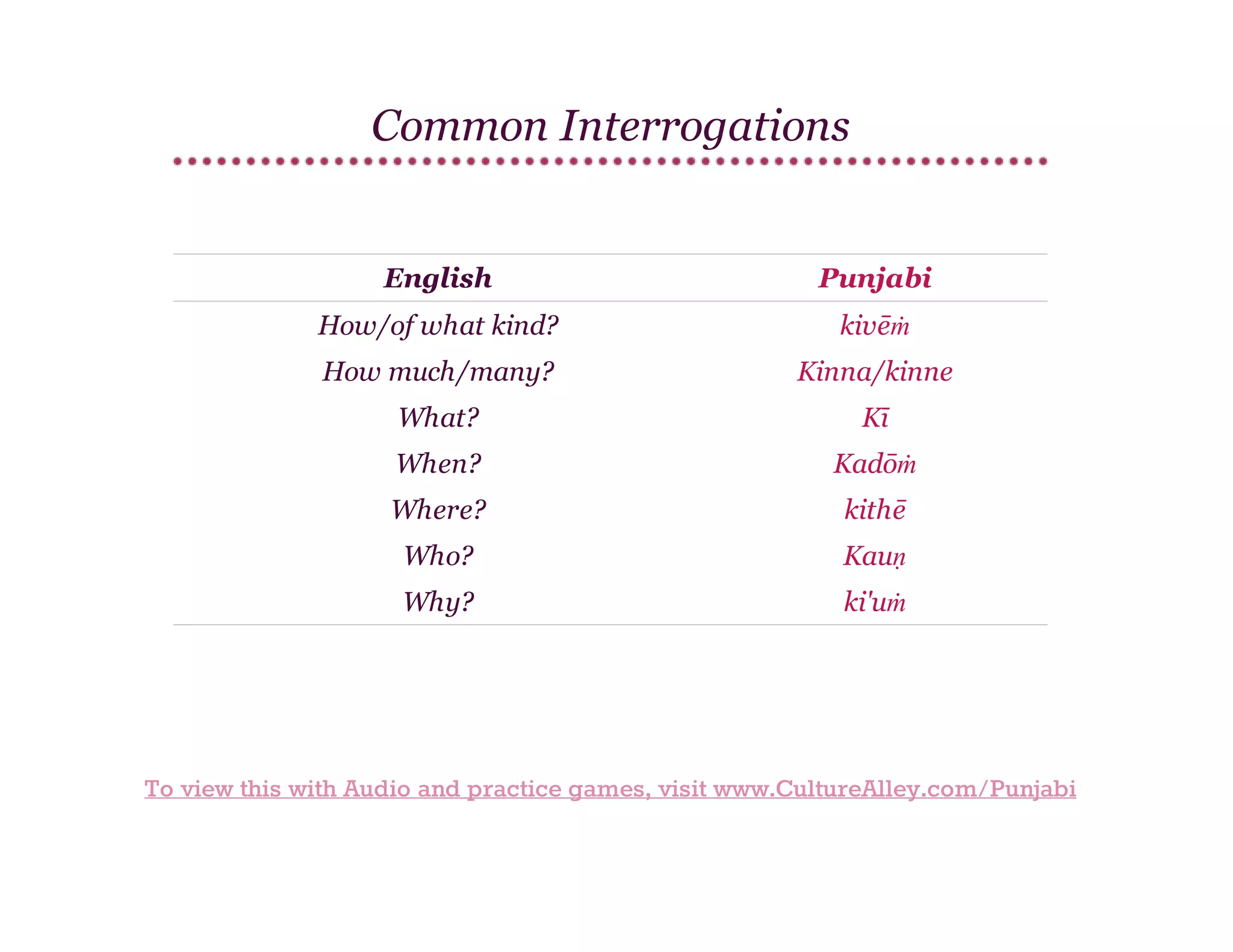 Basic Punjabi | Lesson 2 | Common useful phrases & Grammar | PDF