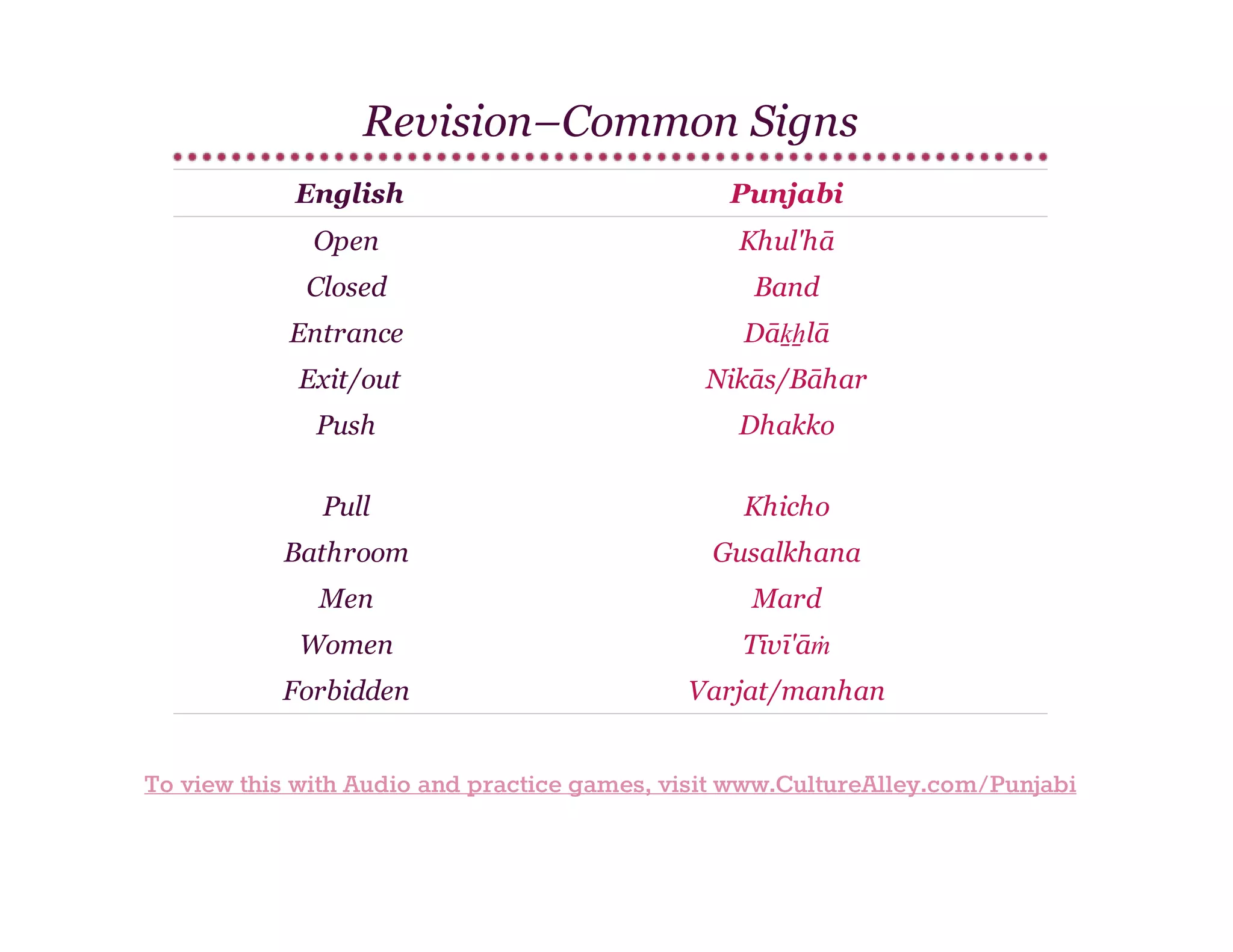 Basic Punjabi | Lesson 2 | Common useful phrases & Grammar | PDF