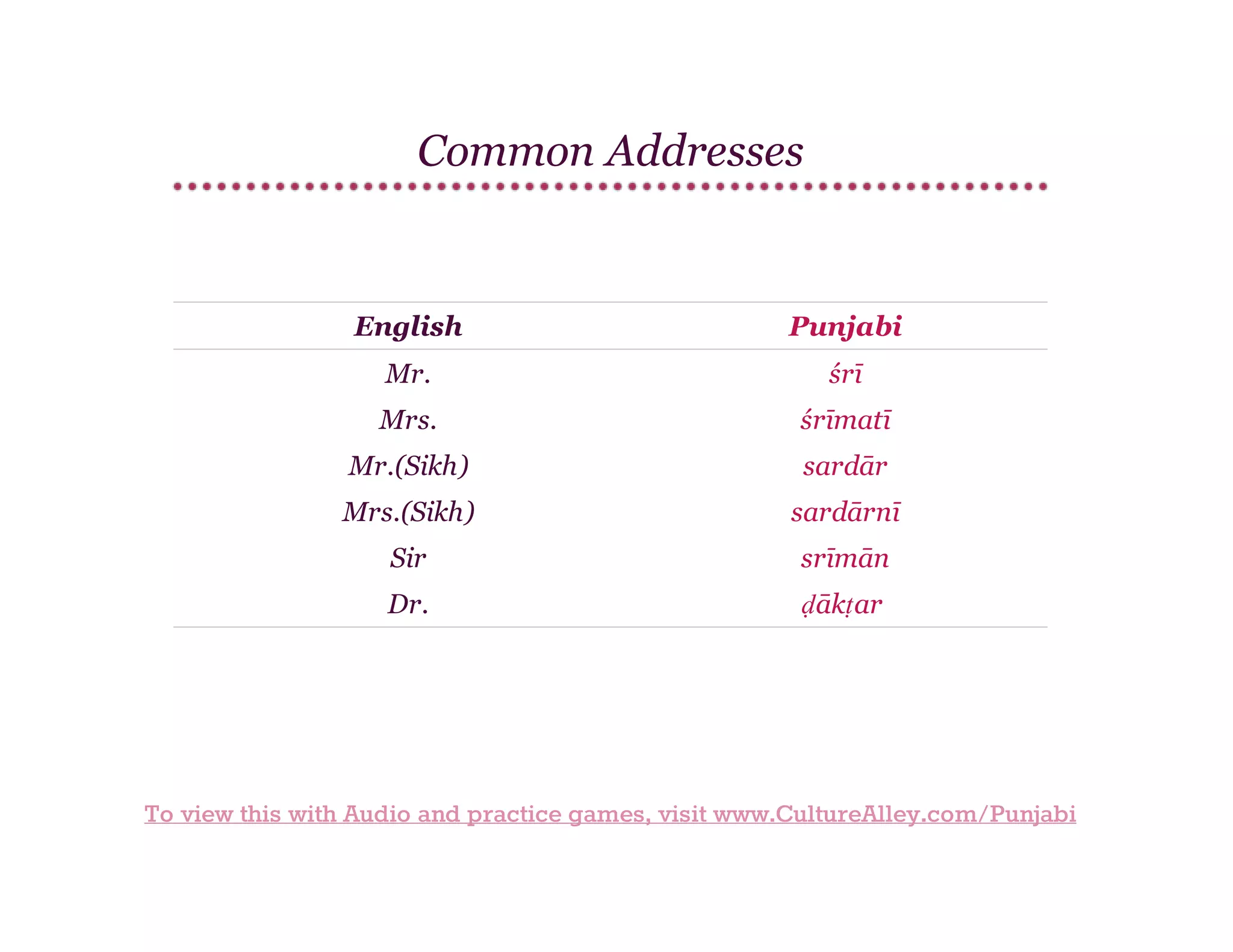 Basic Punjabi | Lesson 2 | Common useful phrases & Grammar | PDF