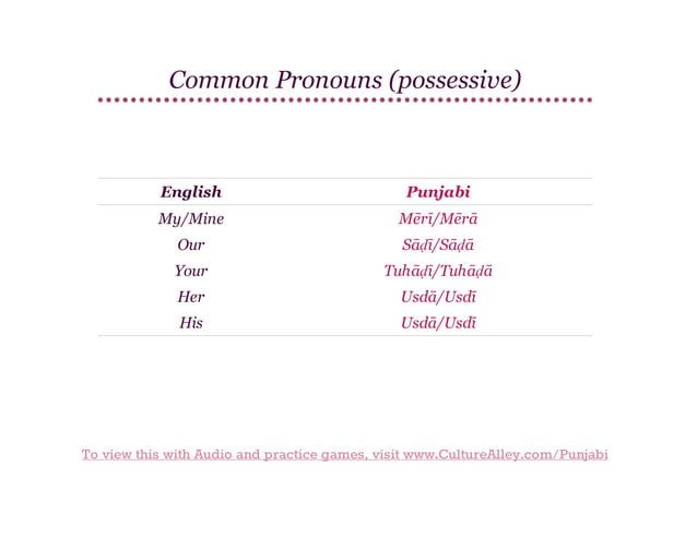 Basic Punjabi | Lesson 2 | Common useful phrases & Grammar | PDF ...