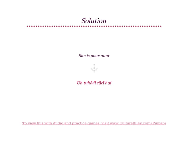 Basic Punjabi | Lesson 2 | Common useful phrases & Grammar | PDF ...
