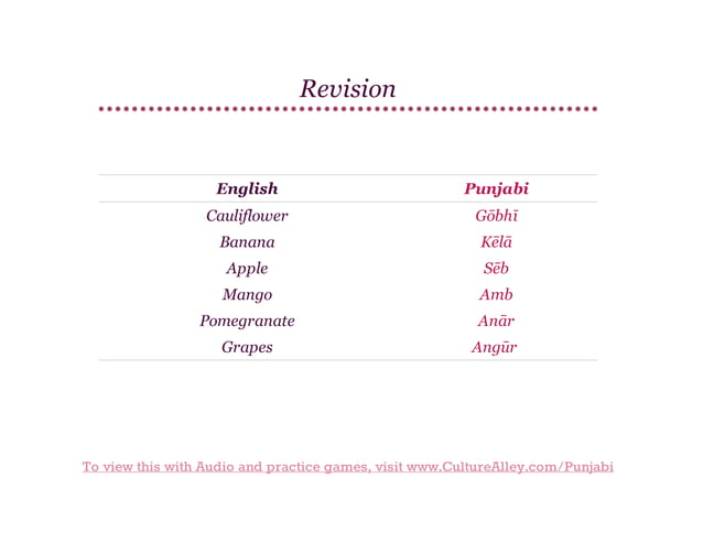 Basic Punjabi | Lesson 2 | Common useful phrases & Grammar | PDF ...