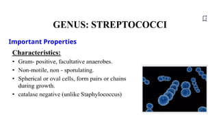 DPT - Microbiology II (Gram +ve cocci) - Genus Streptococcus | PPTX ...