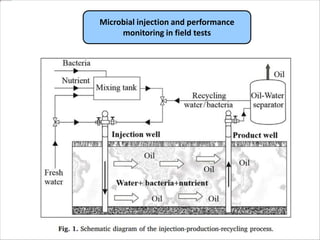 2 Group AAkash, mumne and Vishal.pptx