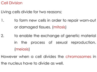 2 Growth and Development of cells for GCSE | PPTX