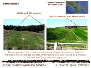 A large-scaled analysis on the spatial variability of soil parameters ...