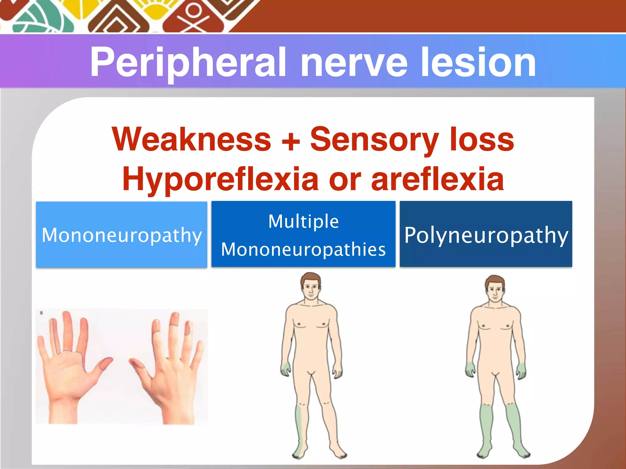 Motor weakness and Cerebrovascular Disease | PDF