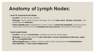 A presentation on head and neck lymph nodes | PPTX