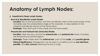 A presentation on head and neck lymph nodes | PPTX