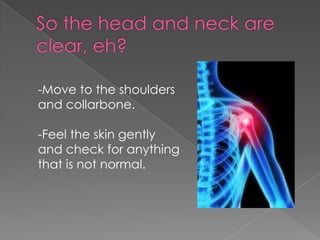 2 head to toe assessment | PPTX