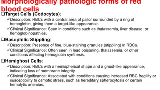 2 Hematopoiesis.pptgisgwvjshhsvffghvvgsz | PPTX