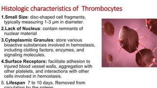 2 Hematopoiesis.pptgisgwvjshhsvffghvvgsz | PPTX