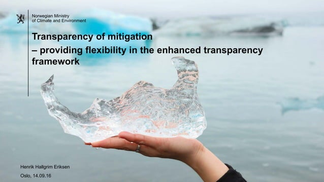 Transparency of mitigation - providing flexibility in the enhanced transparency framework ...