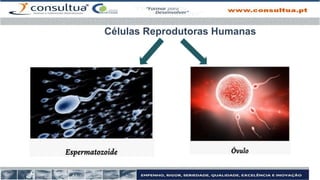 2 hereditariedade reproduçao_desenvolvimento embrionario | PPTX