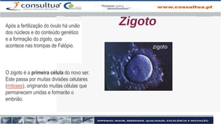 2 hereditariedade reproduçao_desenvolvimento embrionario | PPTX