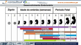 2 hereditariedade reproduçao_desenvolvimento embrionario | PPTX