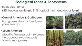 Peatlands of Latin America and the Caribbean | PPTX | Geography | Science