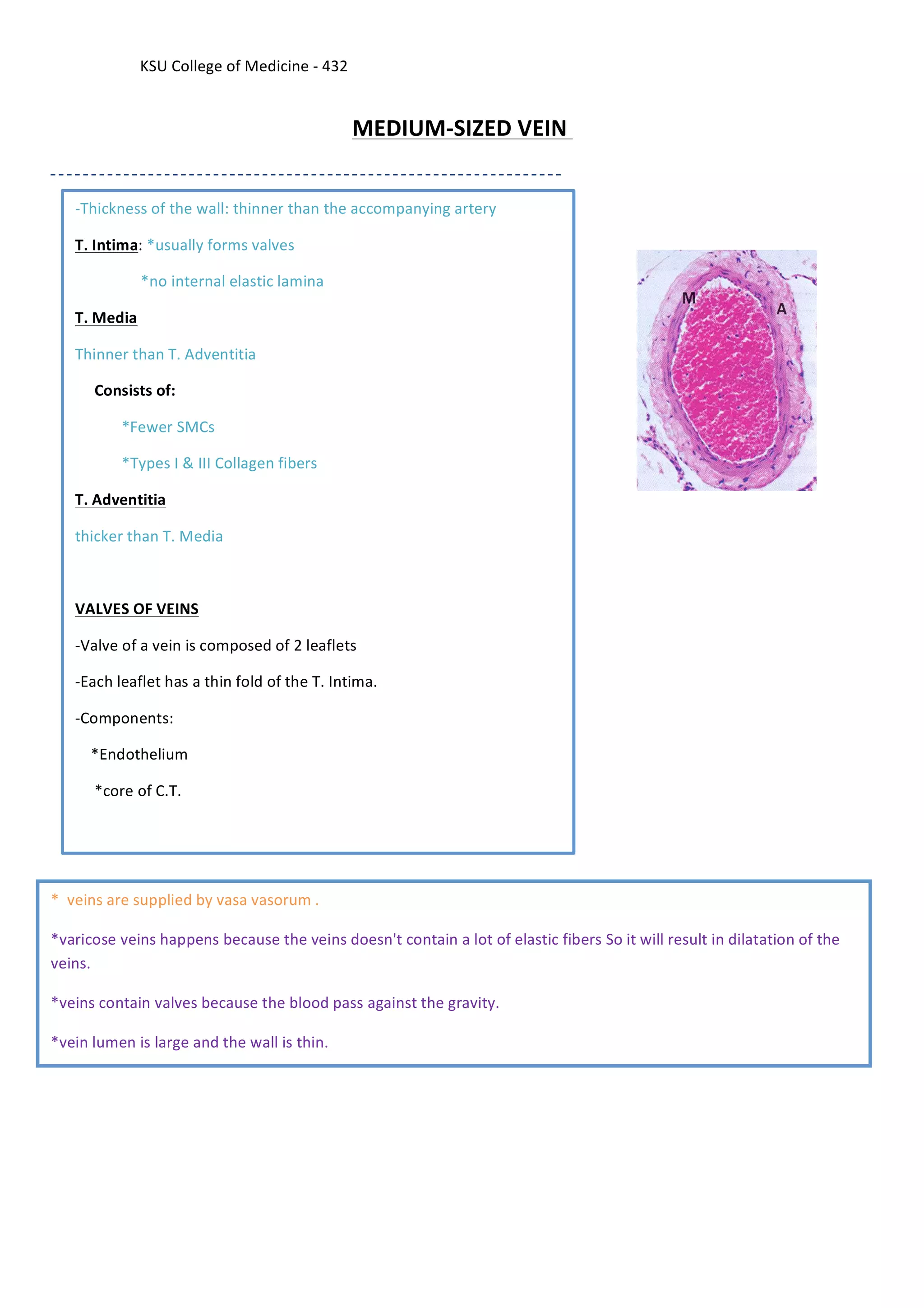 (2) histology of blood vessels | PDF