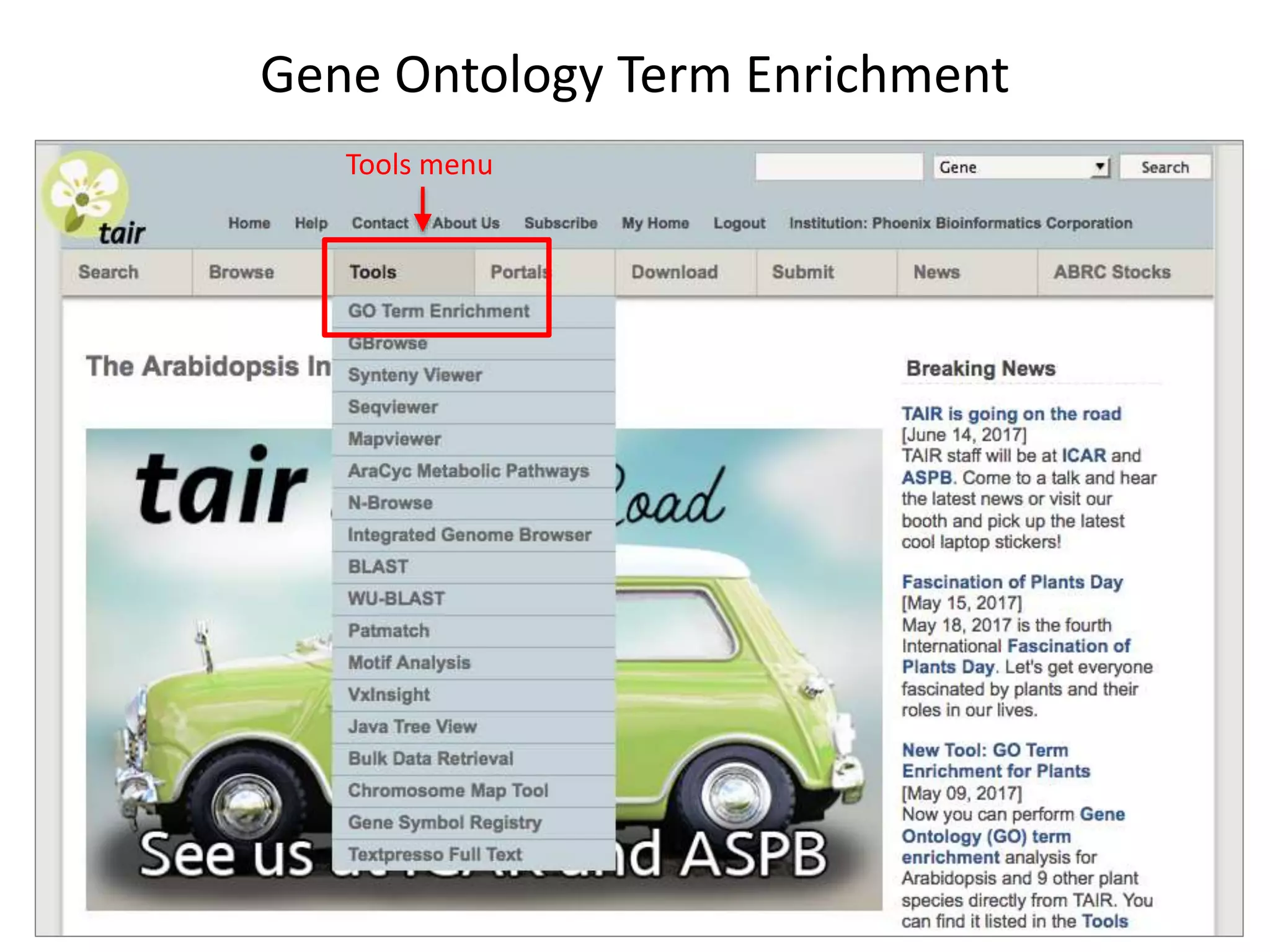 TAIR Presentation ICAR 2017 | PPT
