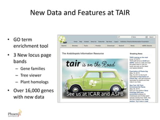 TAIR Presentation ICAR 2017 | PPT