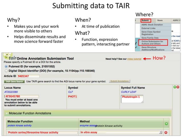 TAIR Presentation ICAR 2017 | PPT