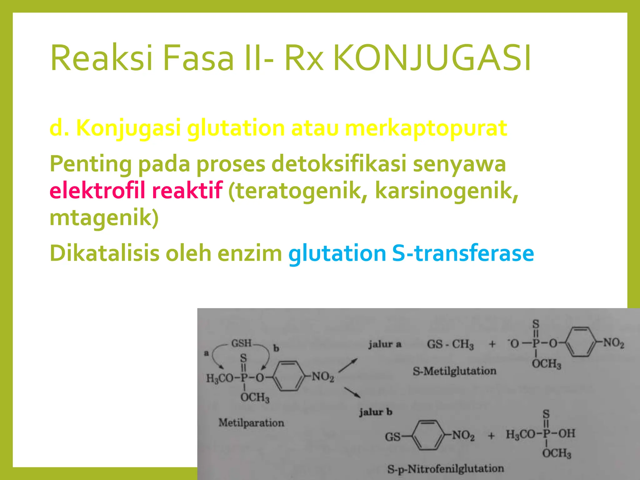 2_HUBUNGAN STRUKTUR DAN METABOLISME OBAT.pptx