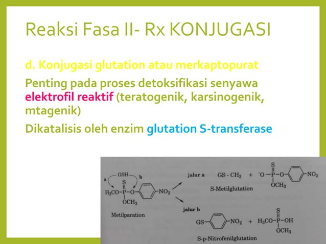 2_HUBUNGAN STRUKTUR DAN METABOLISME OBAT.pptx