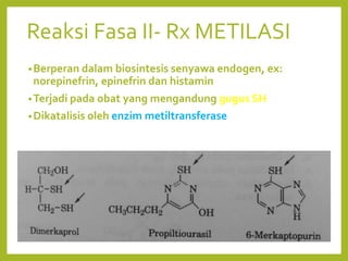 2_HUBUNGAN STRUKTUR DAN METABOLISME OBAT.pptx