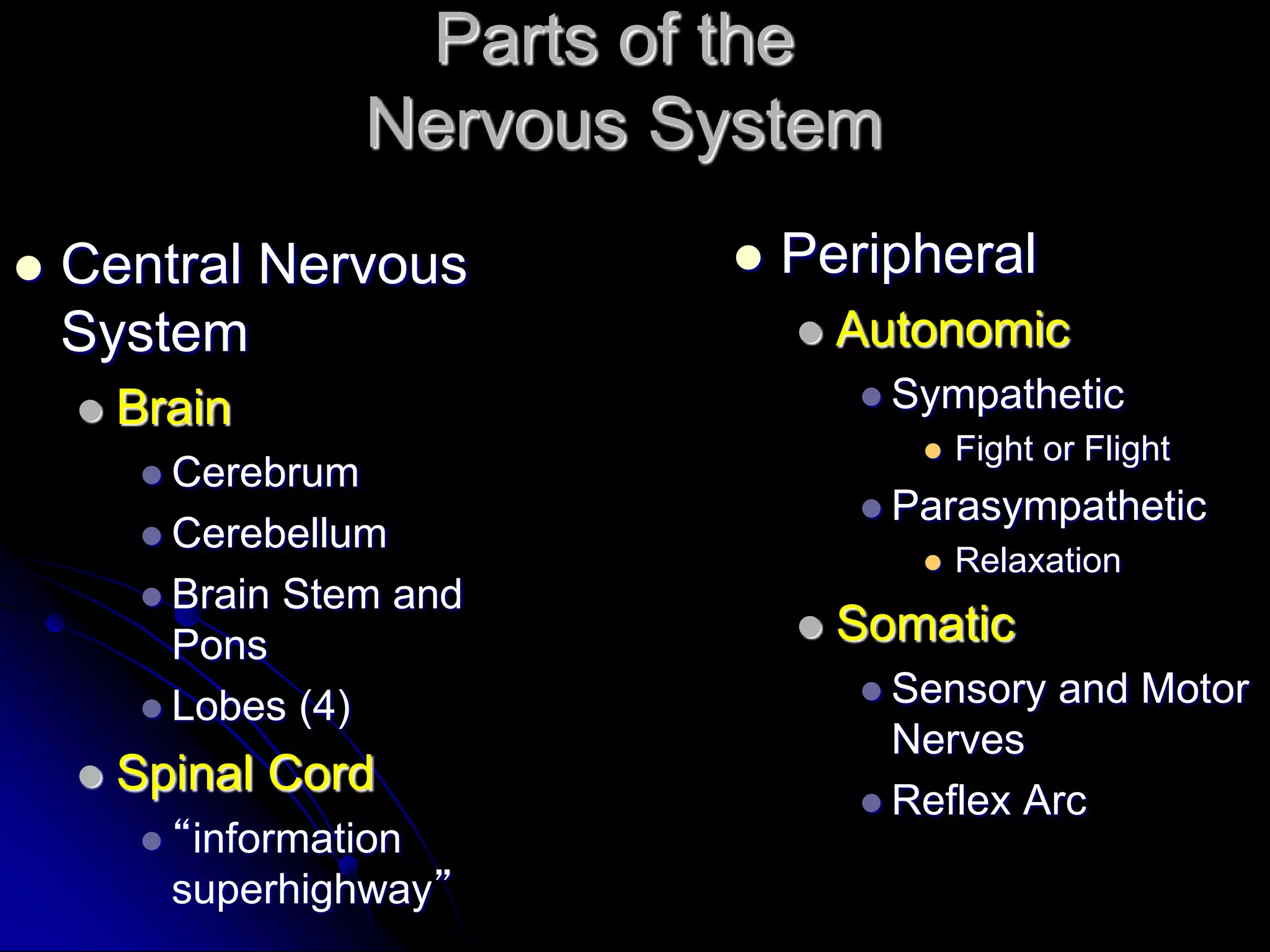 2 Human Body Nervous system.pptx
