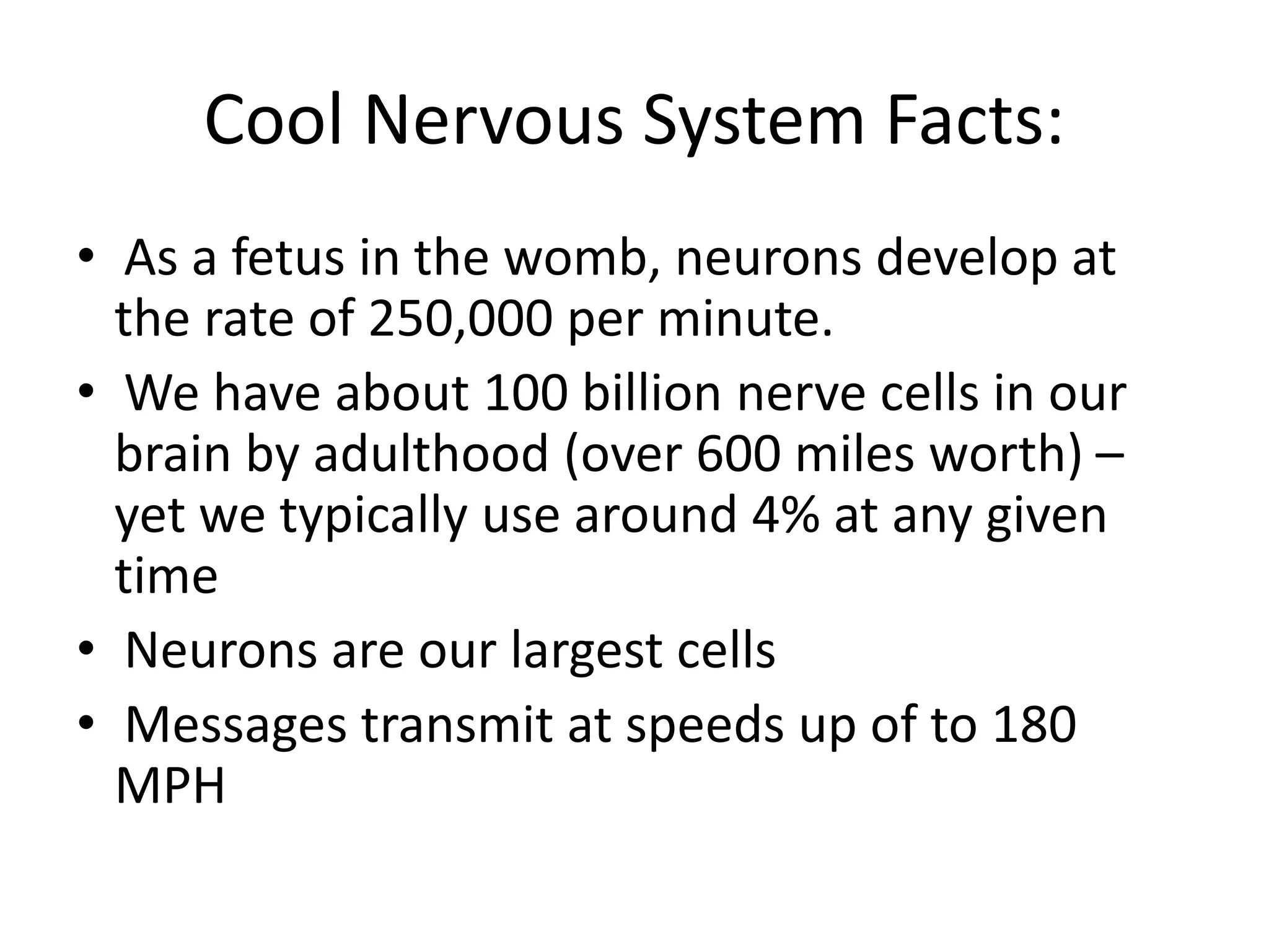 2 Human Body Nervous system.pptx