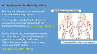 2_Human Development. early childhood education | PDF | Parenting Babies ...