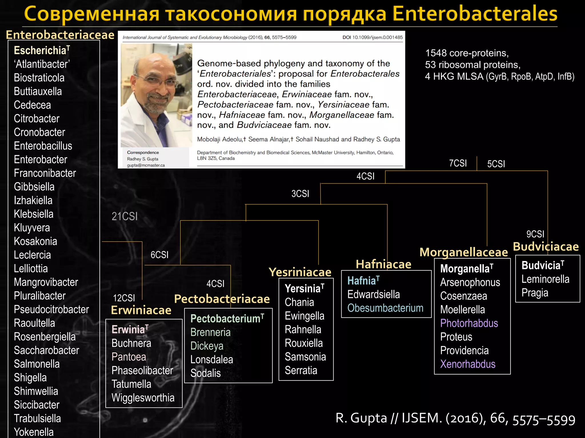 Changes in the classification of Enterobacteriaceae (RUS) | PPT