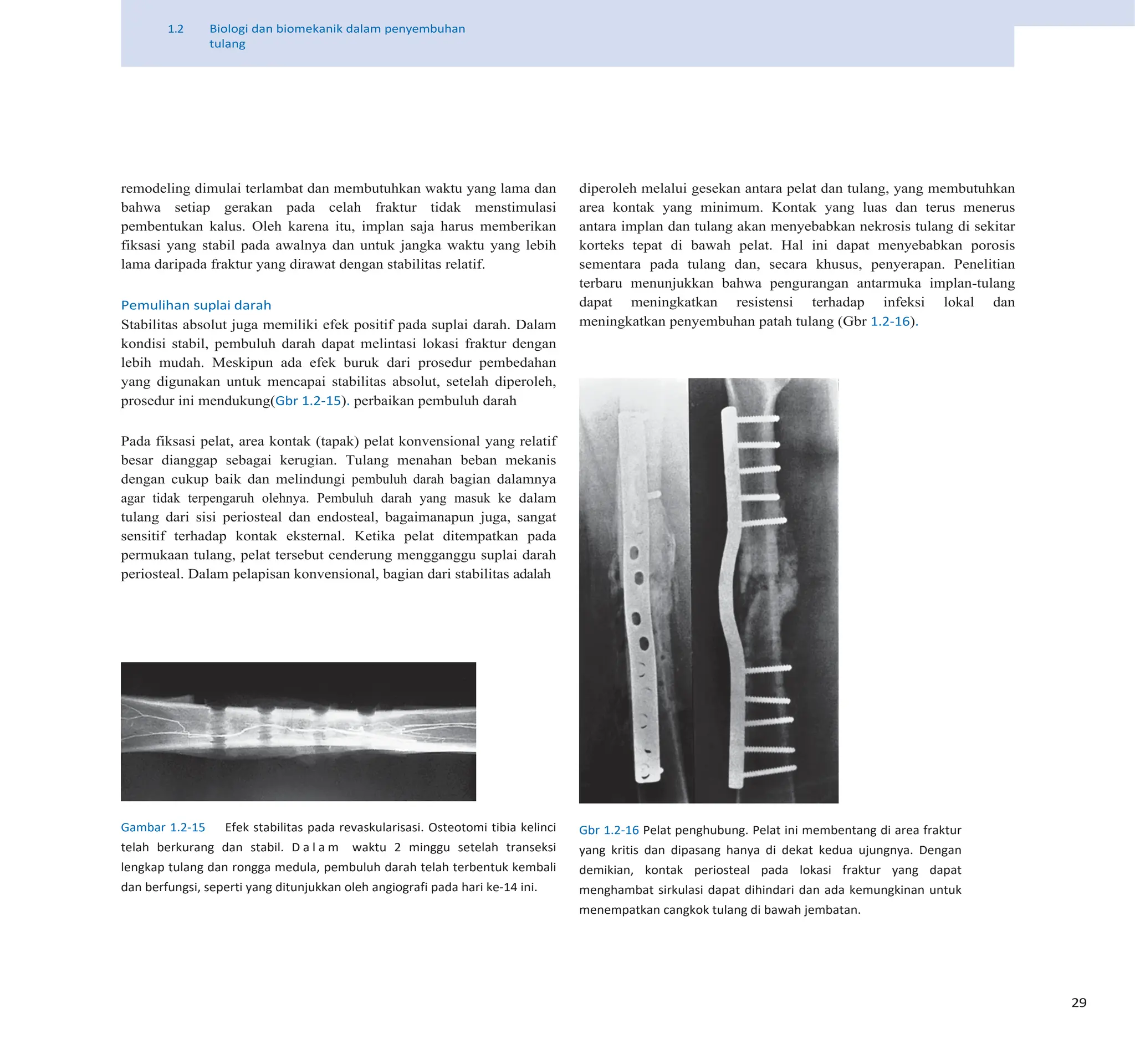 AO Trauma orthopaedic principle of fracture management part 2.pdf