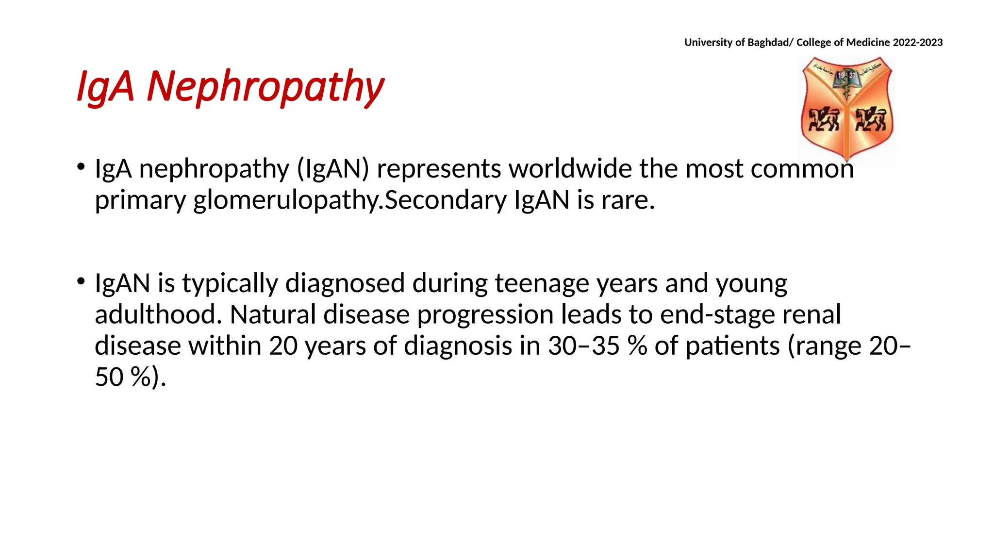 2 IgA nephropathy for arab board urology | PPT