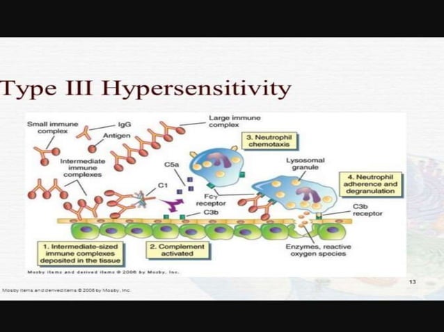 HYPERSENSITIVITY | PPTX | Allergies | Diseases and Conditions