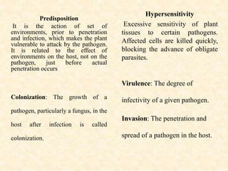 Importance of plant diseases | PPTX