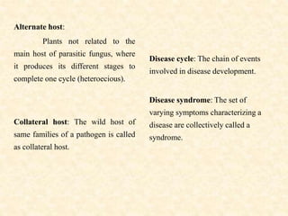 Importance of plant diseases | PPTX