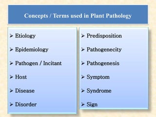 Importance of plant diseases | PPTX