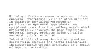 skin and breast pathology; INFECTIOUS DERMATOSES | PPT