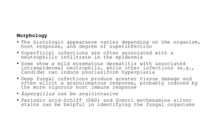 skin and breast pathology; INFECTIOUS DERMATOSES | PPT